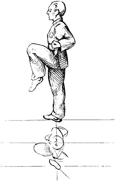 Tai Ji Quan Eight Basic Stances Positions – Phoenix Dragon Kung Fu Academy